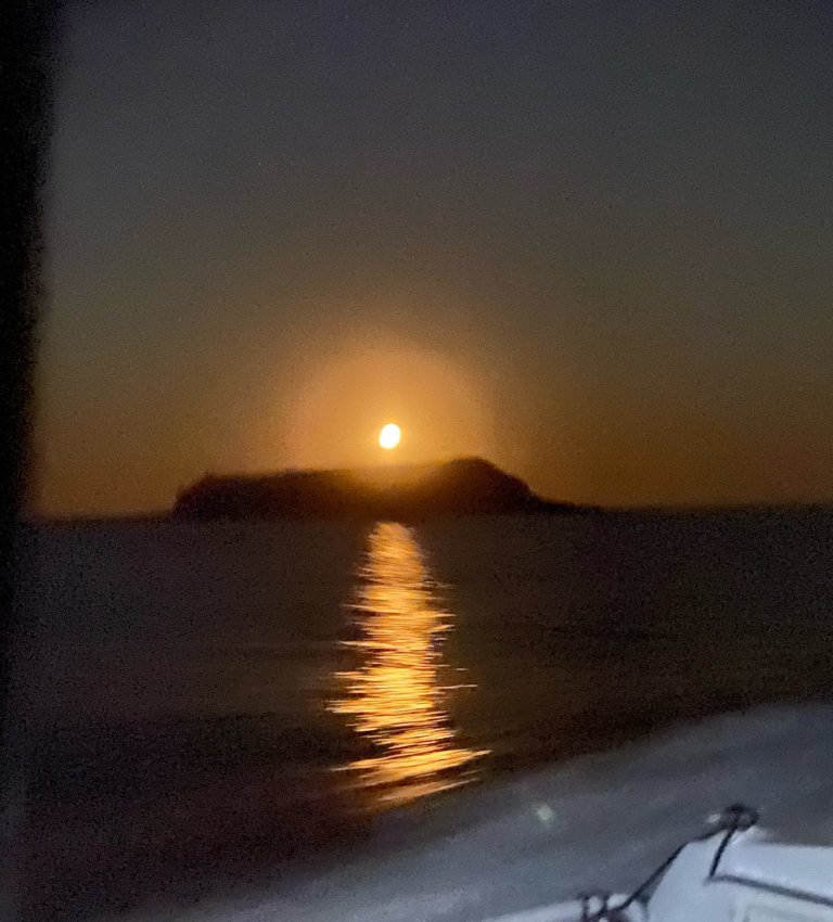 Cook Island - Point Danger